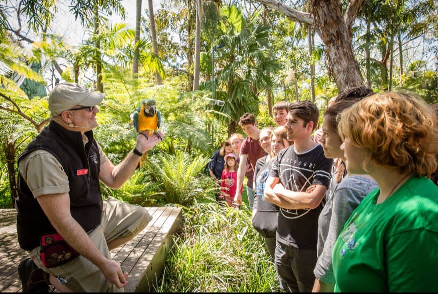 Zoos SA - a long standing partnership – Children's University