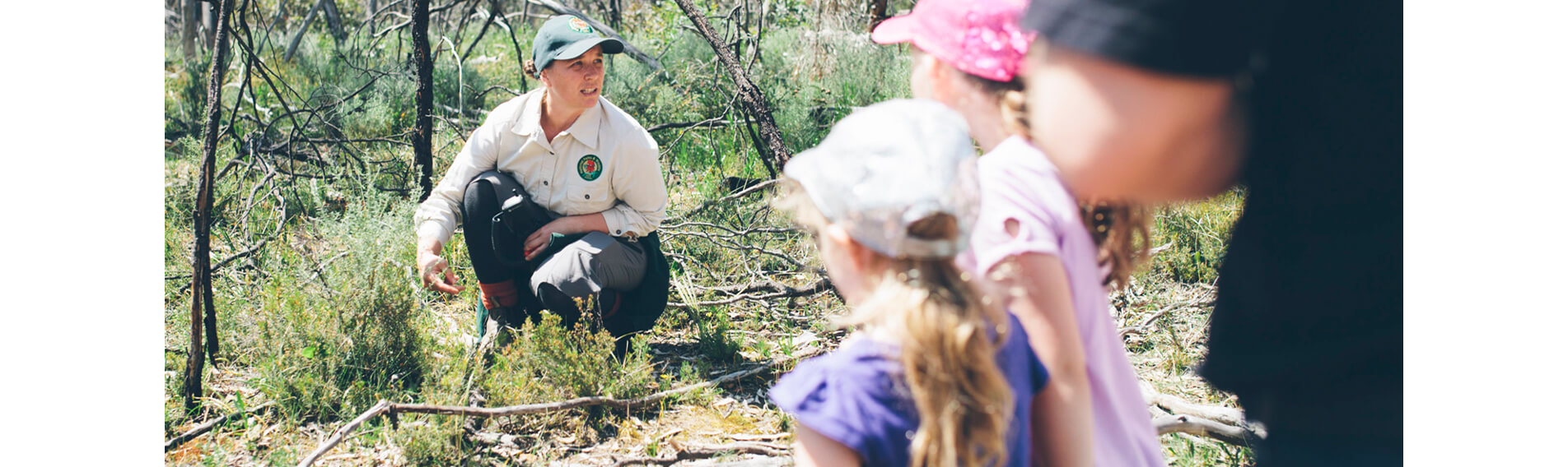 National Parks and Wildlife Service - for the outdoor explorer ...